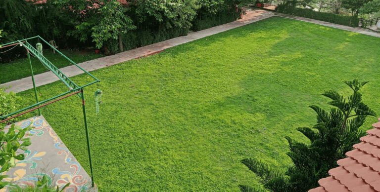 Purbachal Nijhum Polli Resort | Serene Getaway Near Dhaka